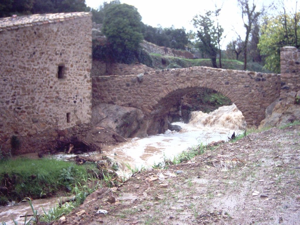 TOURISME – Neffies